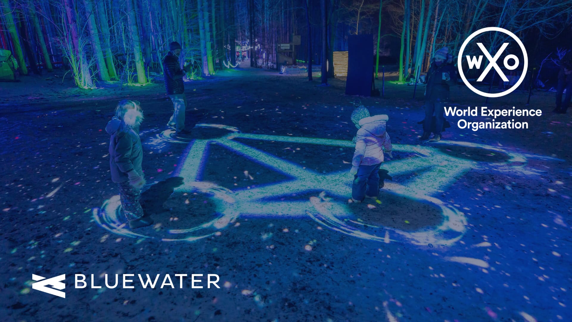 Bluewater Joins the World Experience Organization - Bluewater